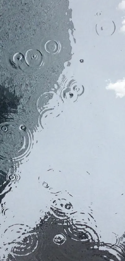 Abstract Raindrop Pattern Wallpaper - free download