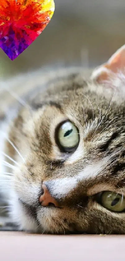 Adorable Cat with Heart Art - free download