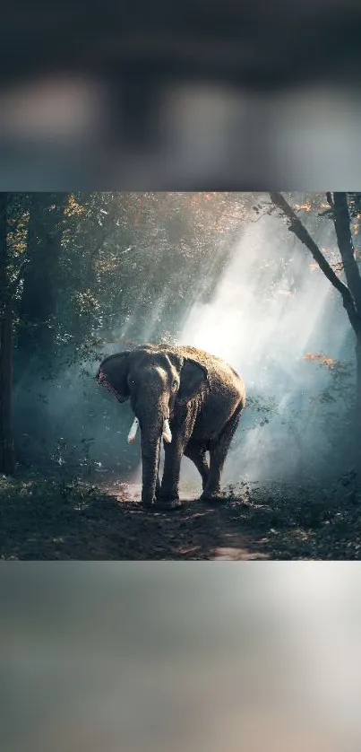 Atmosphere People In Nature Flash Photography Live Wallpaper