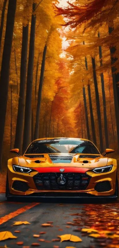 Autumn Drive with Sports Car - free download