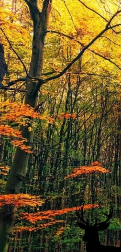 Autumn Forest Deer Wallpaper - free download