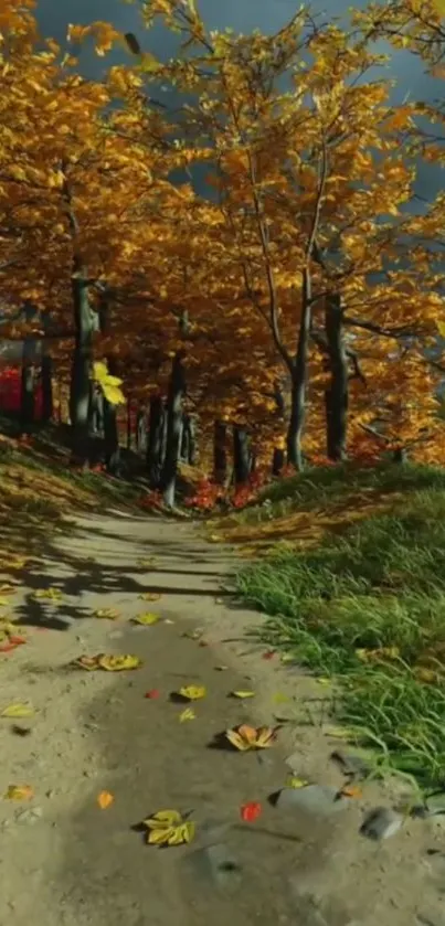 Autumn Forest Path Wallpaper - free download