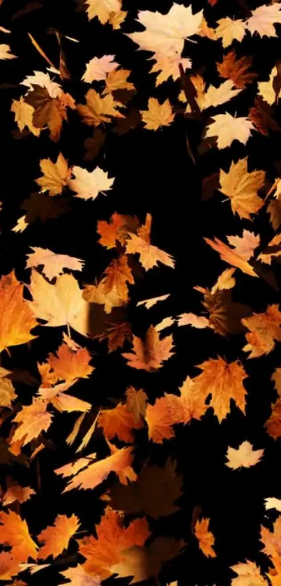 Autumn Leaves Mobile Wallpaper - free download