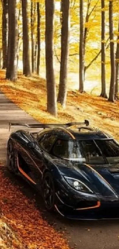 Autumn Scenic Car Wallpaper - free download