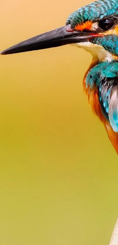 nice Live Wallpaper - free download