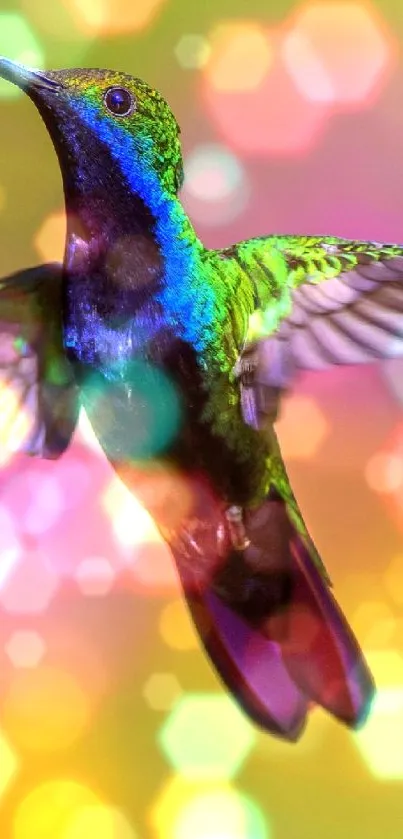 Bird Hummingbird Purple Live Wallpaper - free download