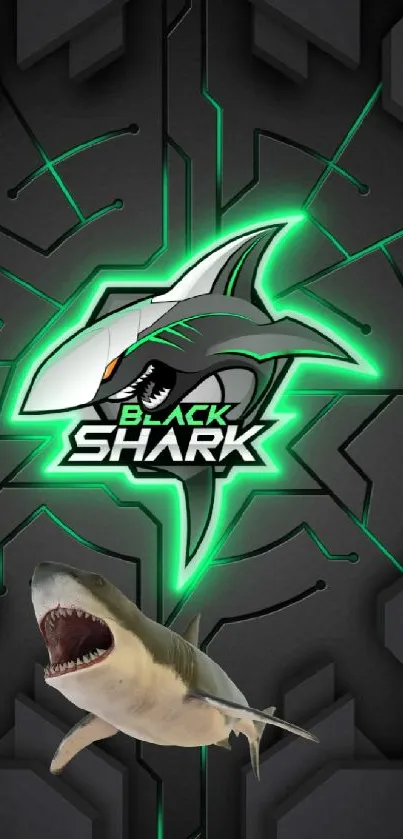 Black Shark Neon Wallpaper - free download