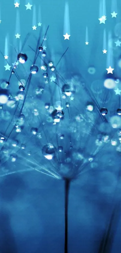 Blue Dandelion Water Droplets Art - free download