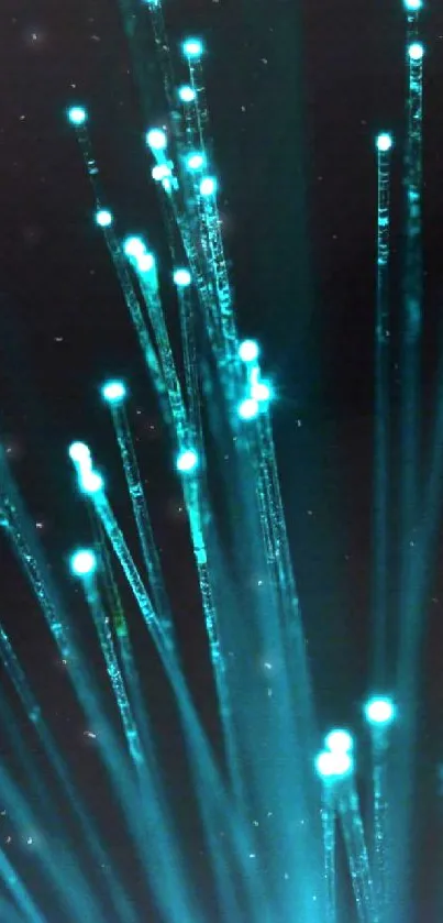 Blue Fiber Optic Wallpaper - free download