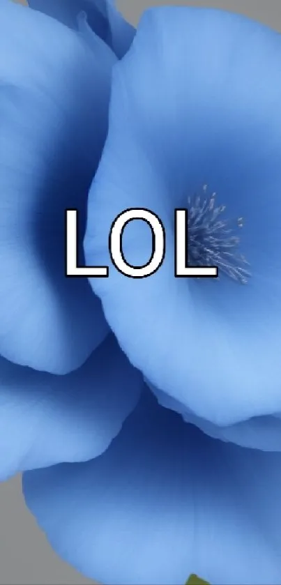 Blue Floral LOL Wallpaper - free download