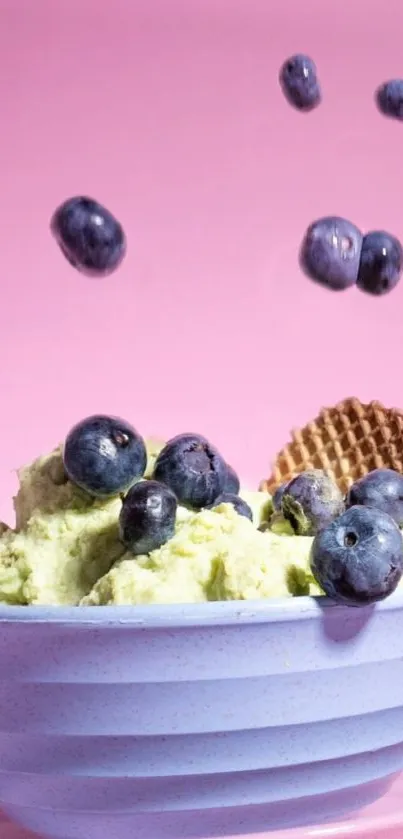 Blueberries in Pink Aesthetic - free download