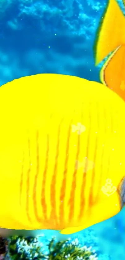 Bright Yellow Fish Wallpaper - free download