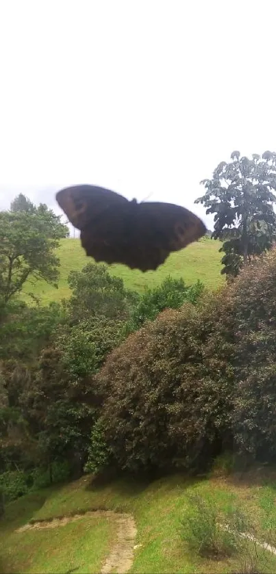 Butterfly in Lush Landscape - free download
