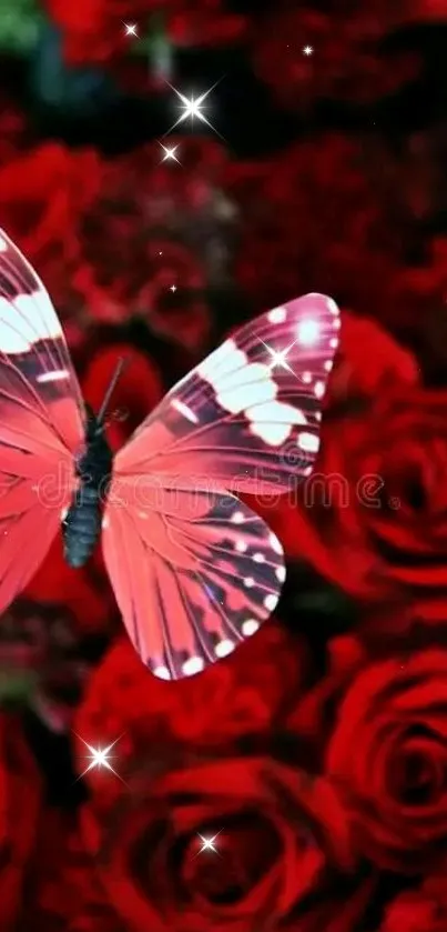 Butterfly on Red Roses Art - free download
