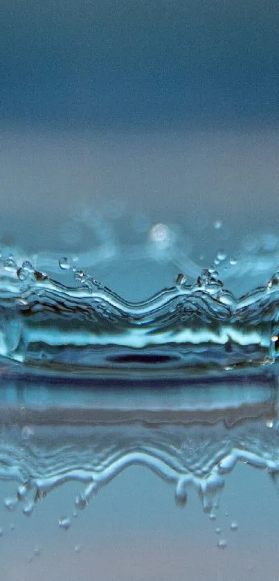 Calm Water Drop Reflection - free download