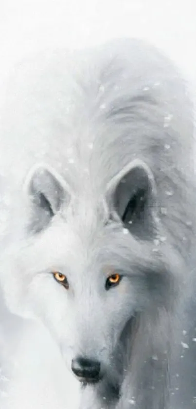 snow wof Live Wallpaper - free download