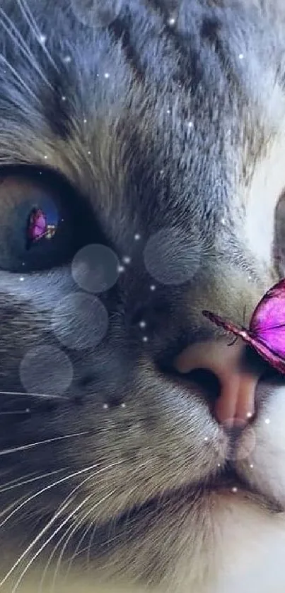 Cat and Butterfly Wallpaper - free download