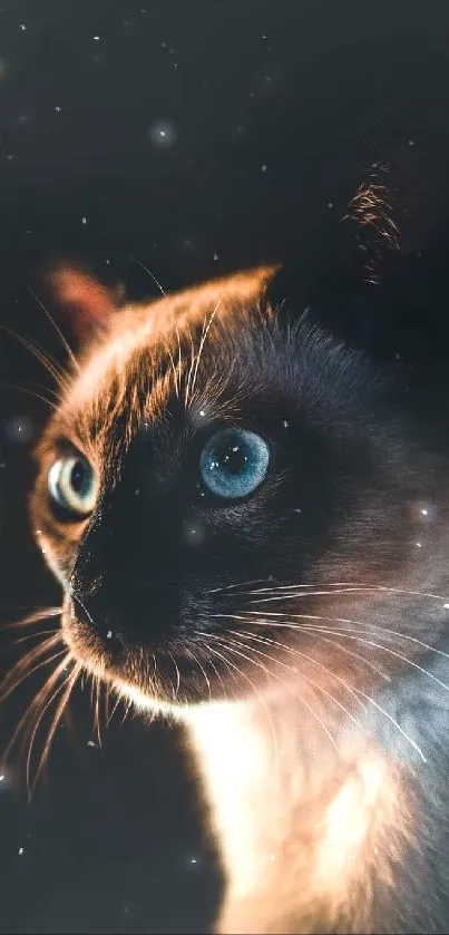 cat Live Wallpaper - free download