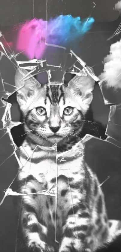 Cat in Shattered Glass Art - free download