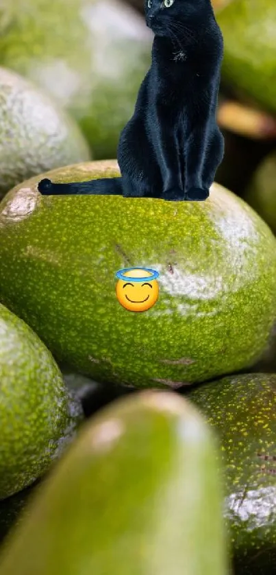 Cat on Avocado Background - free download