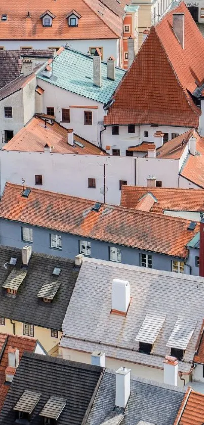 Charming Rooftops Wallpaper - free download