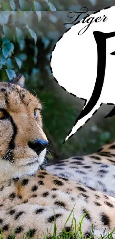 Cheetah and Butterfly Art - free download