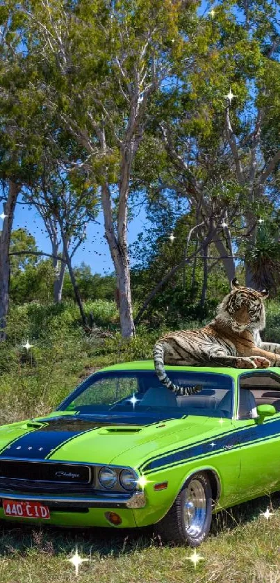 Classic Car with Tiger - free download