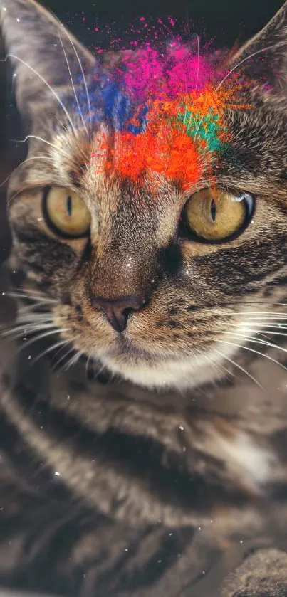 Colorful Cat Art Wallpaper - free download