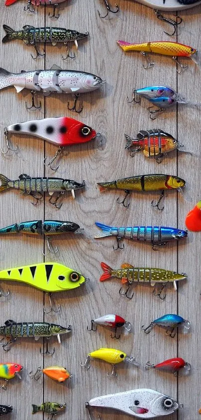 Colorful Fishing Lures Display - free download