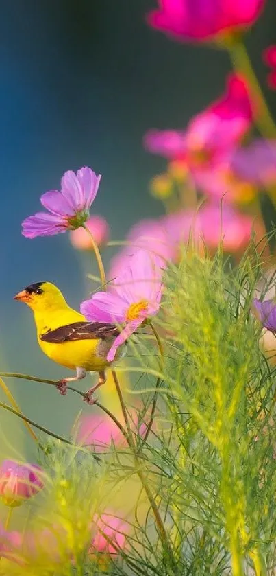 Colorful Garden Bird Wallpaper - free download
