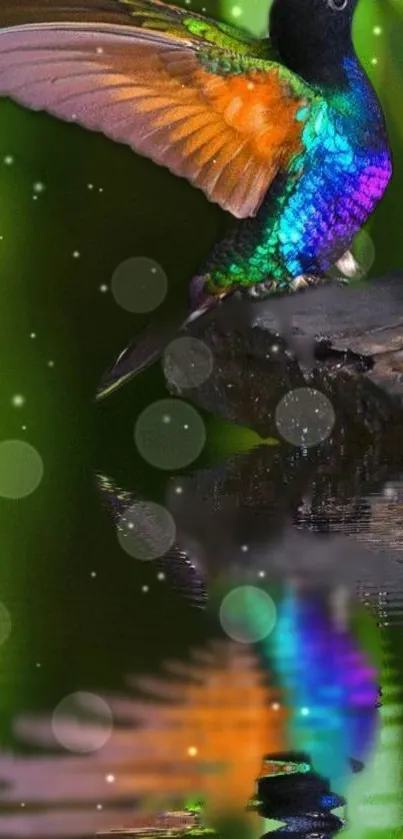 Colorful Hummingbird Reflection - free download