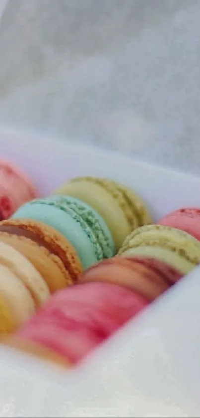 Colorful Macaron Delight Wallpaper - free download