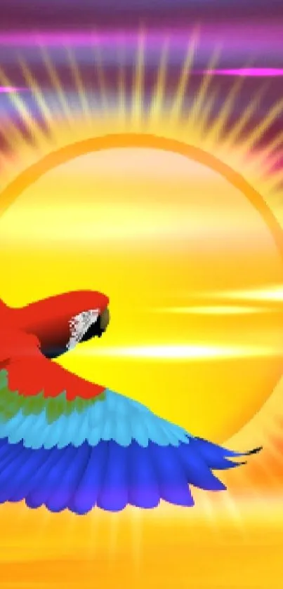 Colorful Parrot Sunset Wallpaper - free download