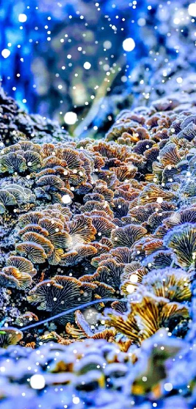 Colorful Scenic Fungi Wallpaper - free download