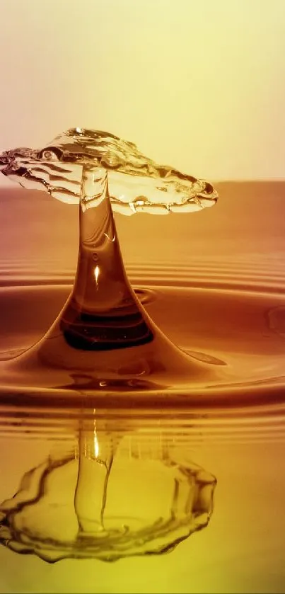 Colorful Water Drop Art - free download