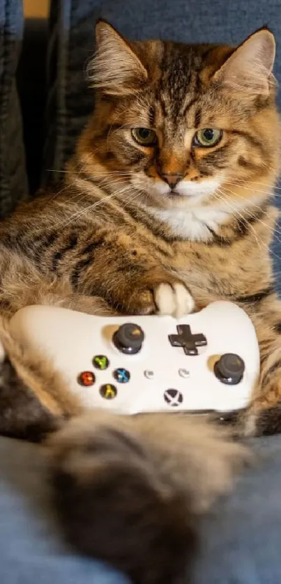 Cozy Cat Gamer Wallpaper - free download