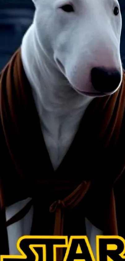 Creative Dog Jedi Wallpaper - free download