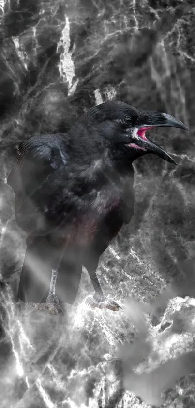 Crow on Marble Texture - free download