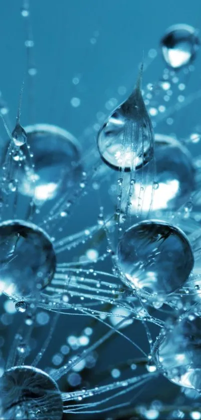 Crystal Dew Mobile Wallpaper - free download