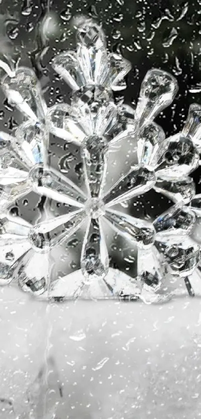 Crystal Snowflake Raindrop Wallpaper - free download