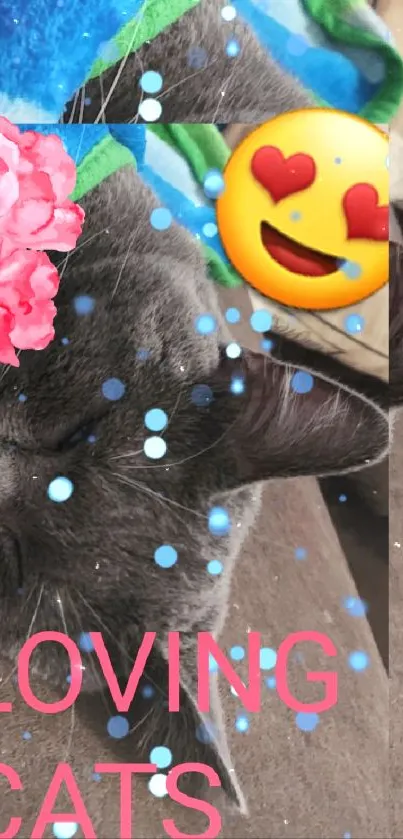 Cuddly Cat on Colorful Couch - free download