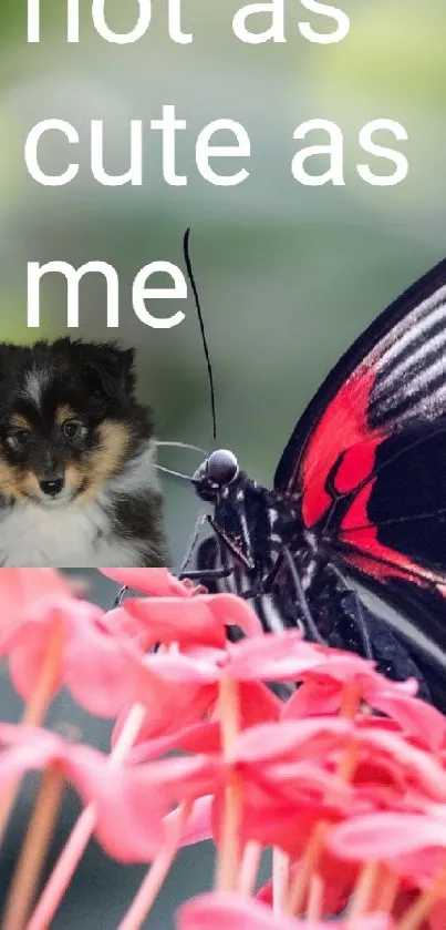 Cute Butterfly and Puppy Wallpaper - free download
