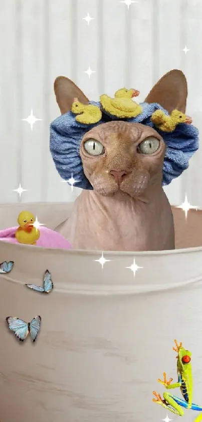 Cute Cat in Bucket Wallpaper - free download