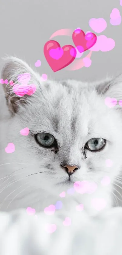 Cute Cat with Pink Hearts - free download