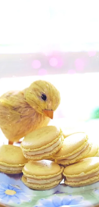 Cute Chick with Macarons - free download