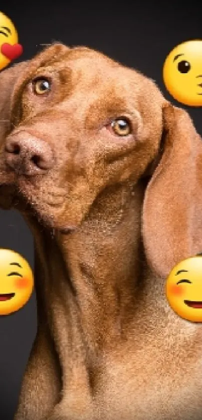 Cute Dog Emoji Wallpaper - free download