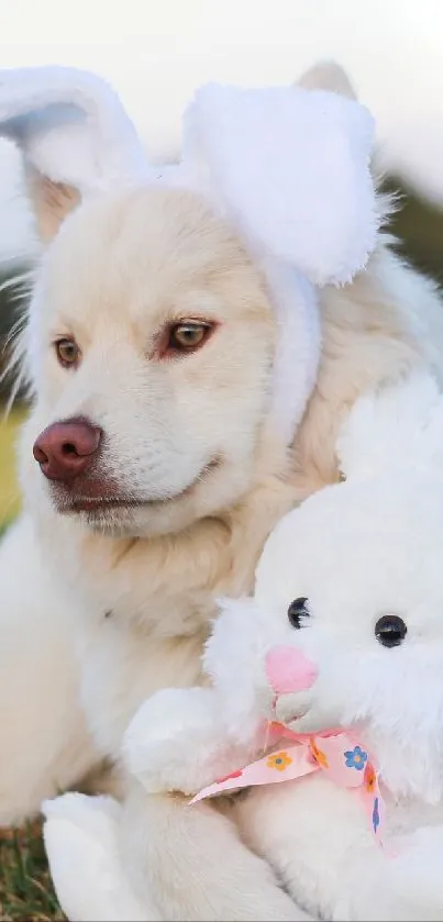 Cute Dog with Bunny Toy - free download