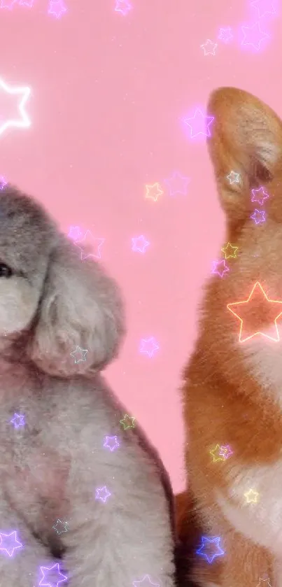 Cute Dogs and Stars Wallpaper - free download