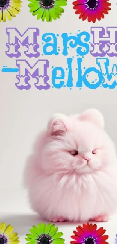 Cute Pink Fluffy Cat Wallpaper - free download