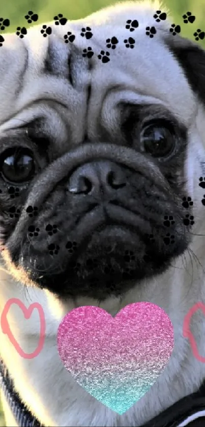 Cute Pug with Heart Overlay - free download